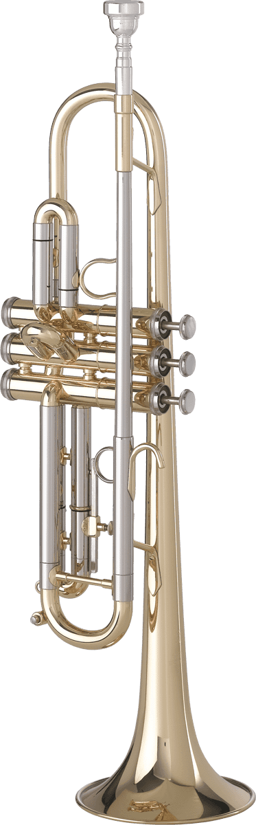 Spécialiste des instruments à vent | Vente, location et réparation | Nantes